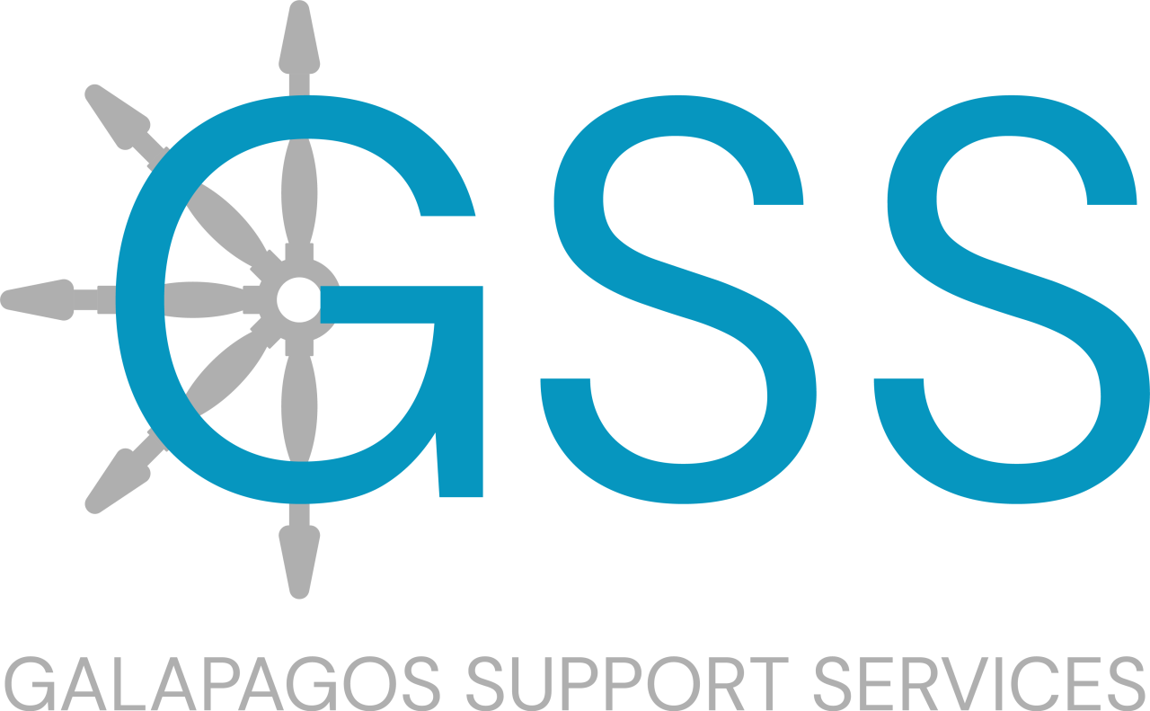 GSS – Environmentally friendly cleaning services